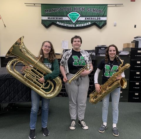 Single District 10 Lions Michigan